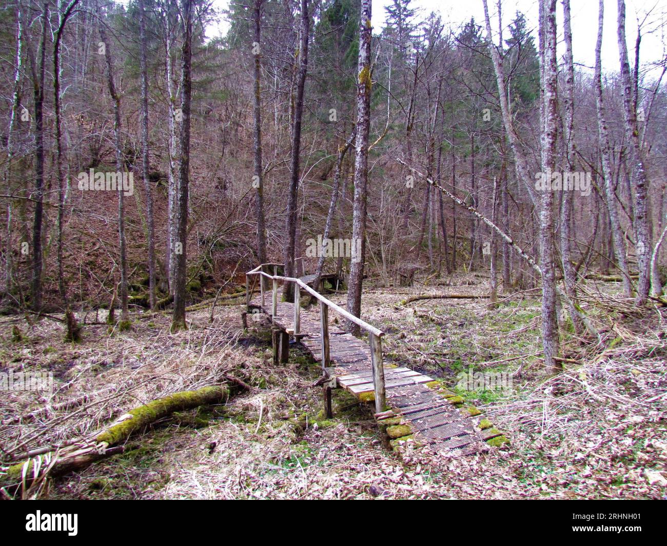 Wooden pathway crossing a swam Stock Photo - Alamy