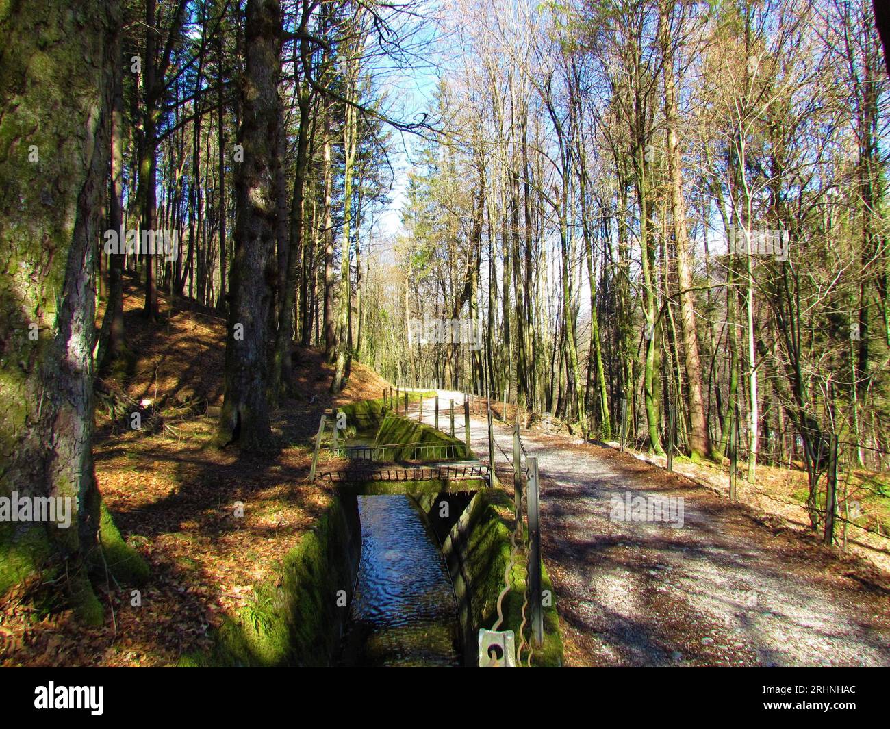 Fenced path next to a water channel leading through a temperate ...