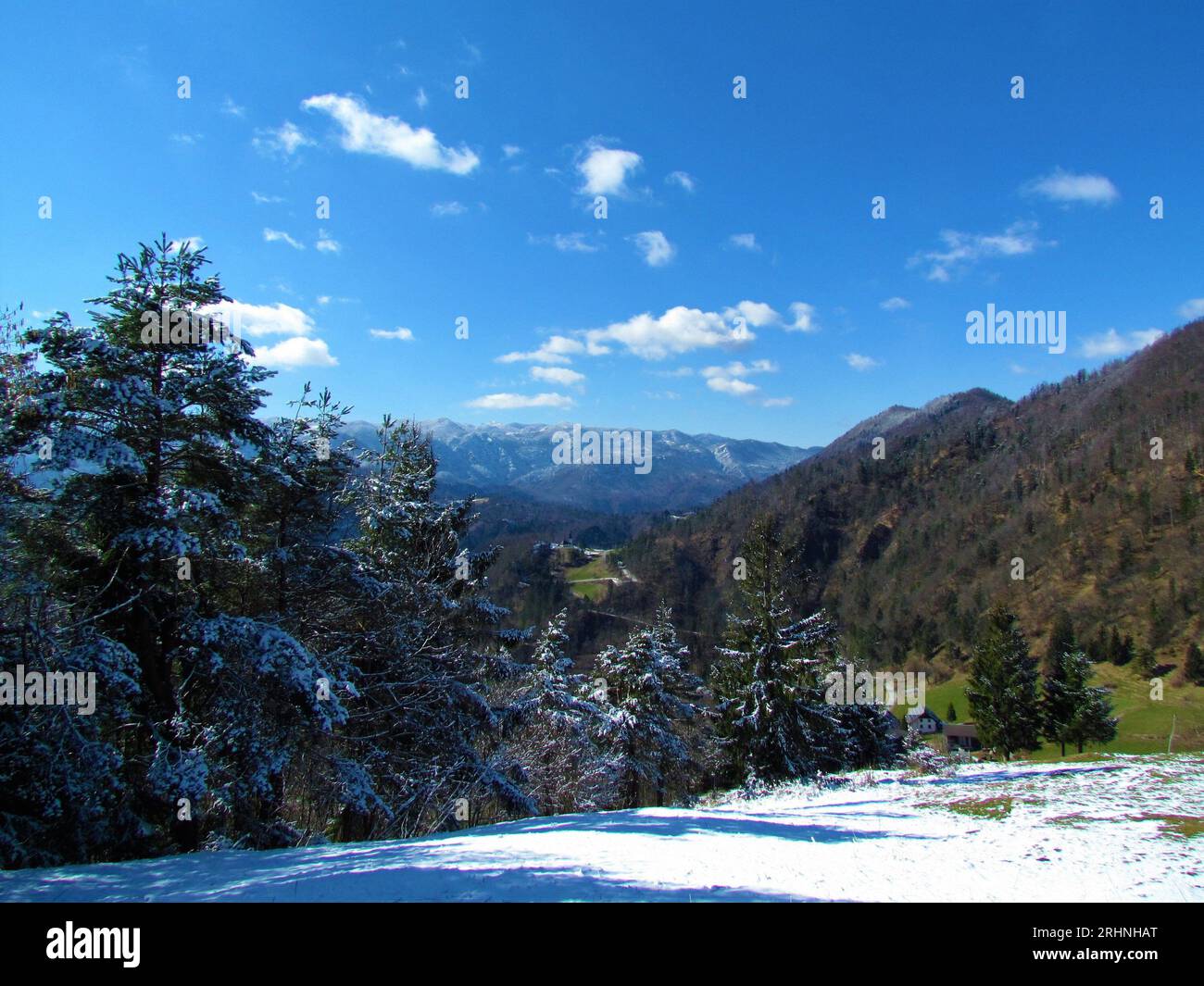 View of Trnovo forest plateau and Mali Golak in Littoral region of Slovenia covered in snow ...