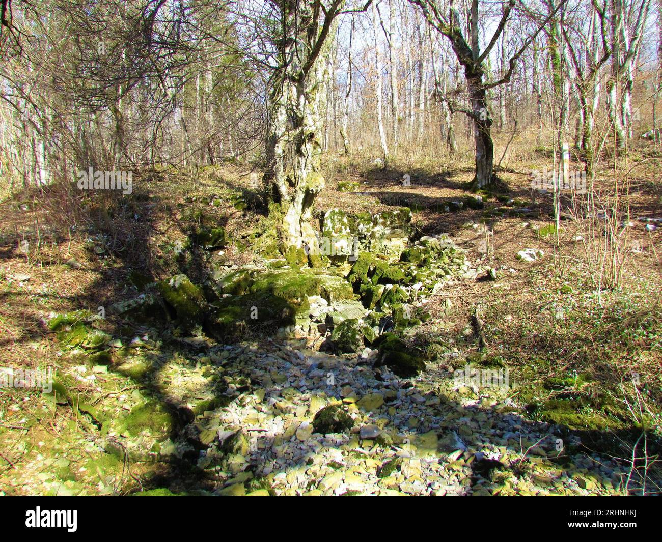 Dry karst spring near lake Cerknica in Notranjska, Slovenia with a ...
