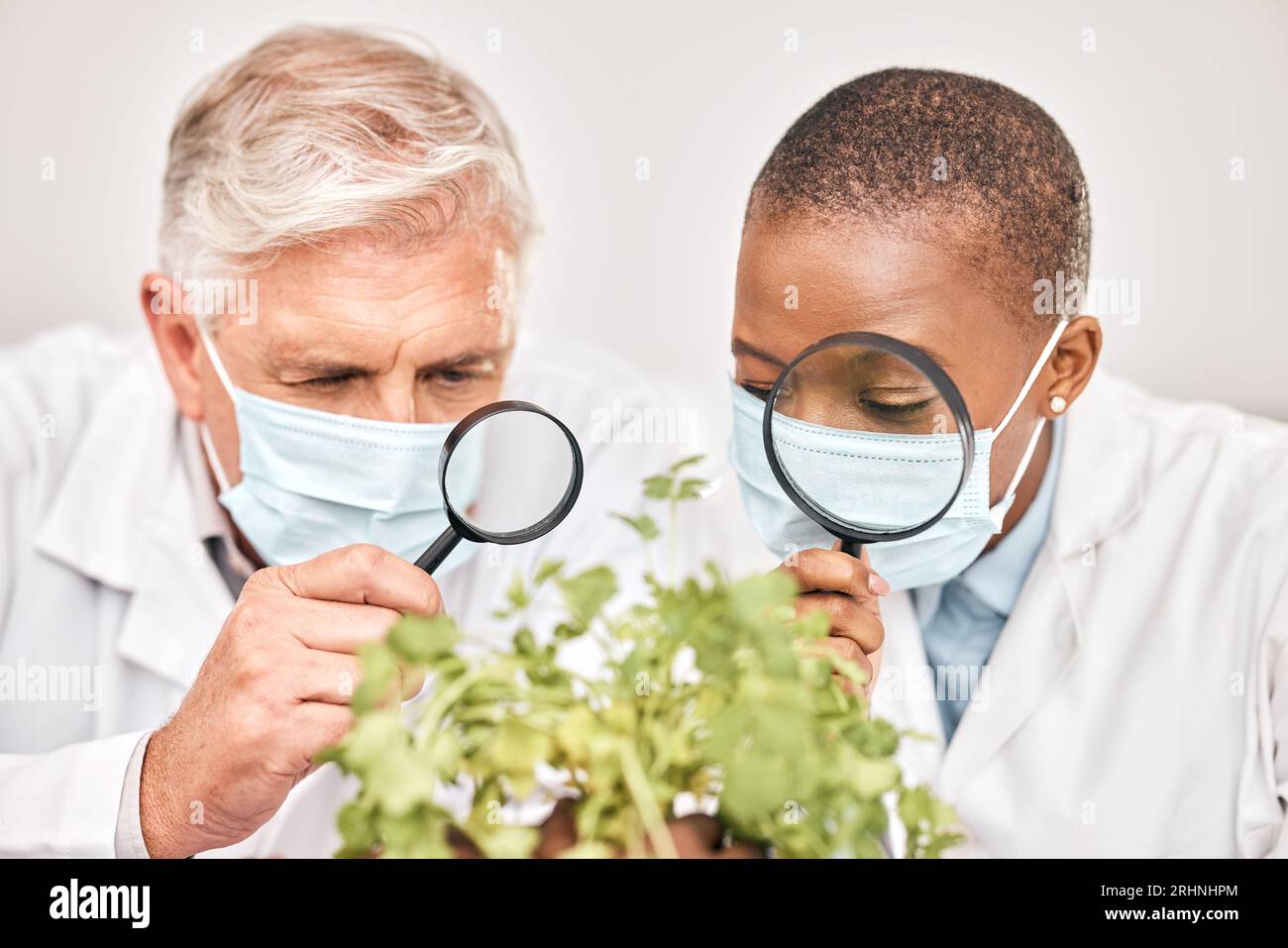 Attention science hi-res stock photography and images - Alamy