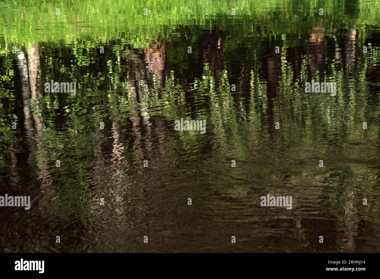 natural background, water landscape, shiny water surface with ...