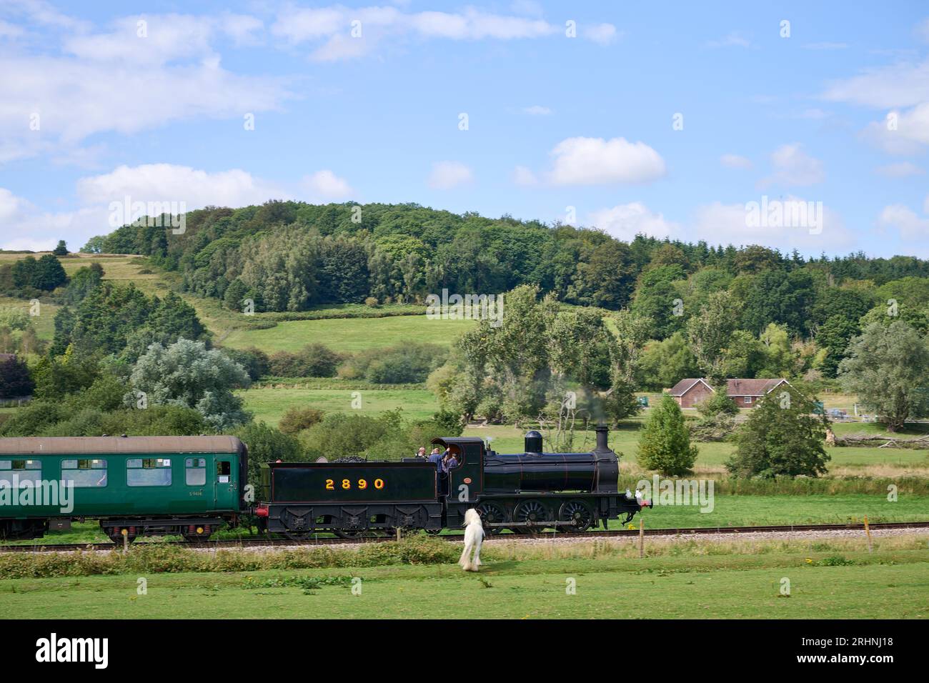 Steam at the Spa Valley Railway Stock Photo - Alamy