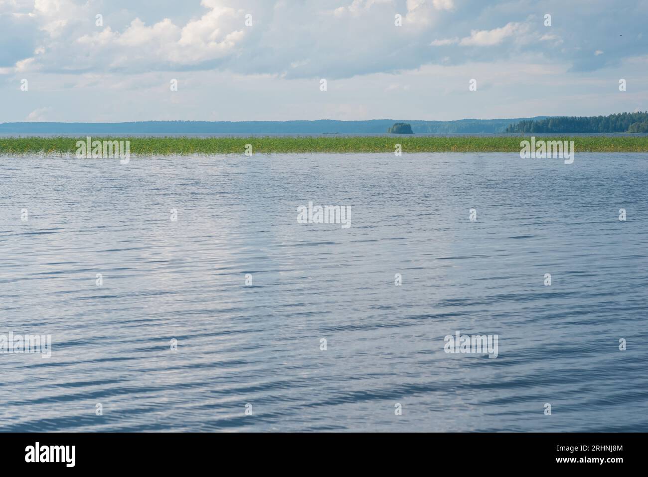 natural landscape, vast shallow lake with reed banks Stock Photo - Alamy