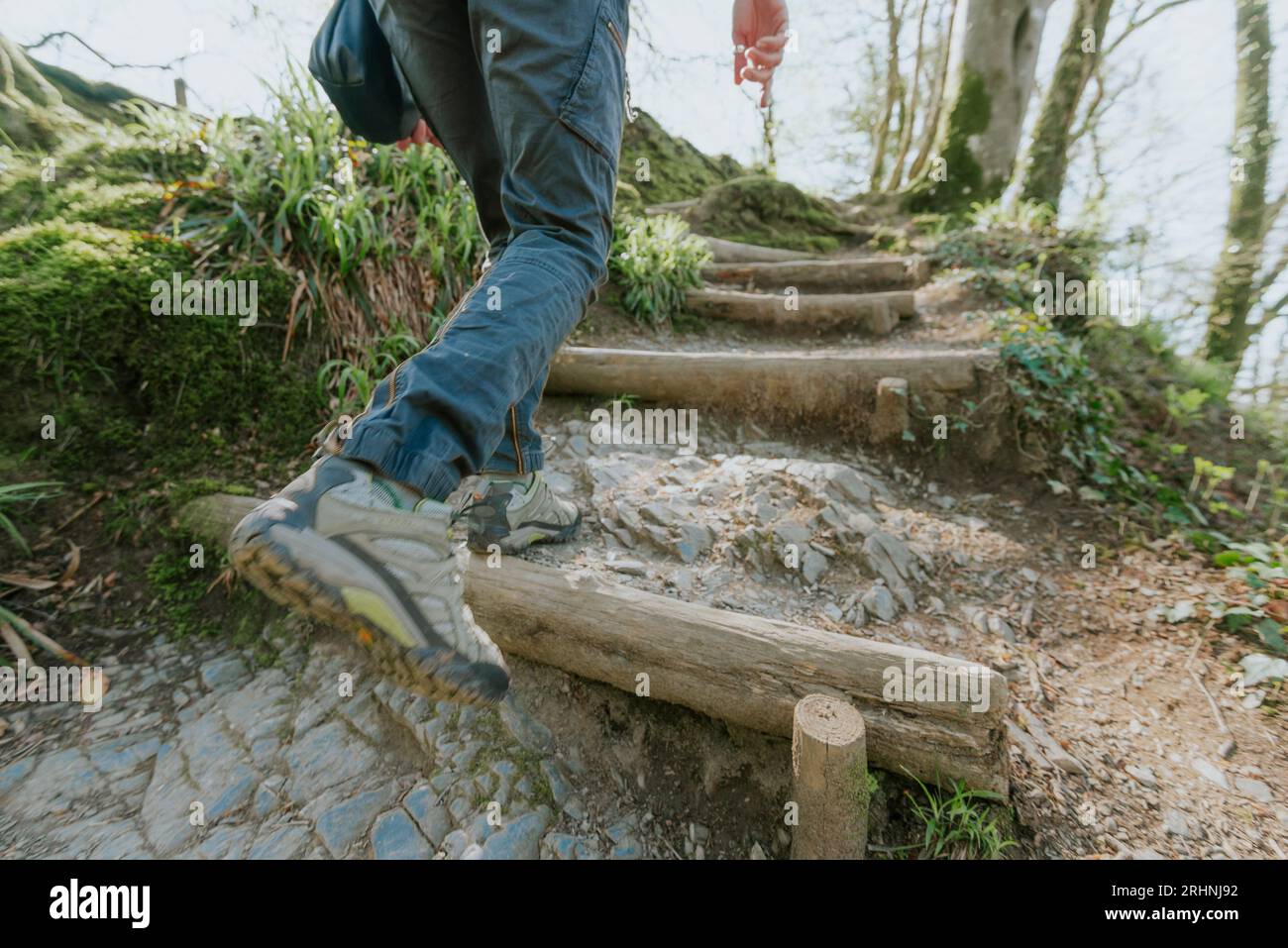 A woman in hiking shoes climbs some man made wooden steps up a trail ...