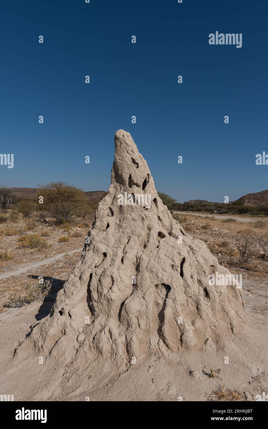 Single termite mound captured in the late afternoon sun Stock Photo - Alamy
