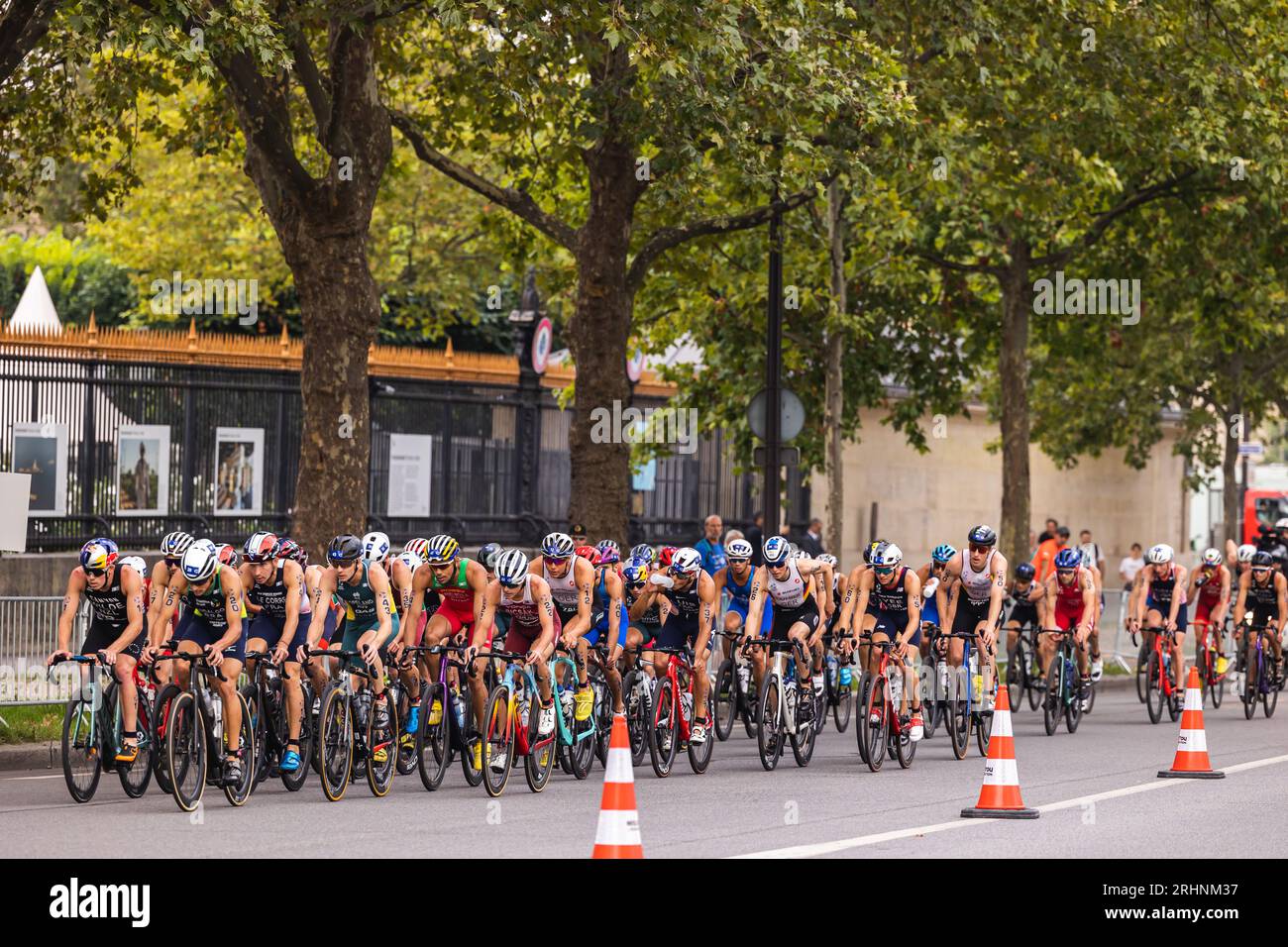 Hayden wilde nzl hi-res stock photography and images - Alamy