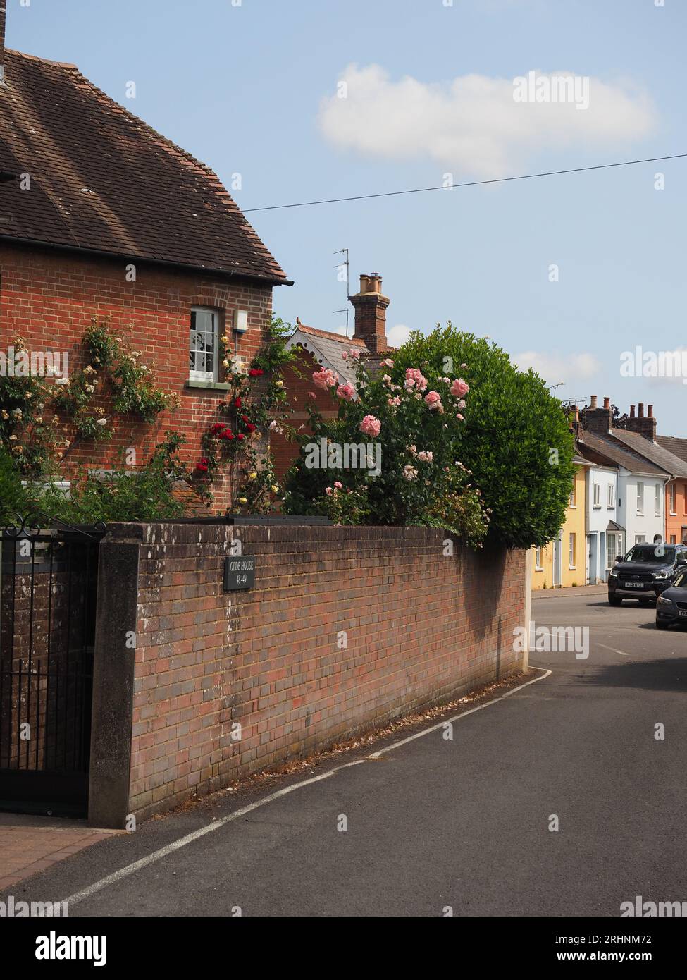 roses growing above a brick wall of a cottage in Wimborne town in ...