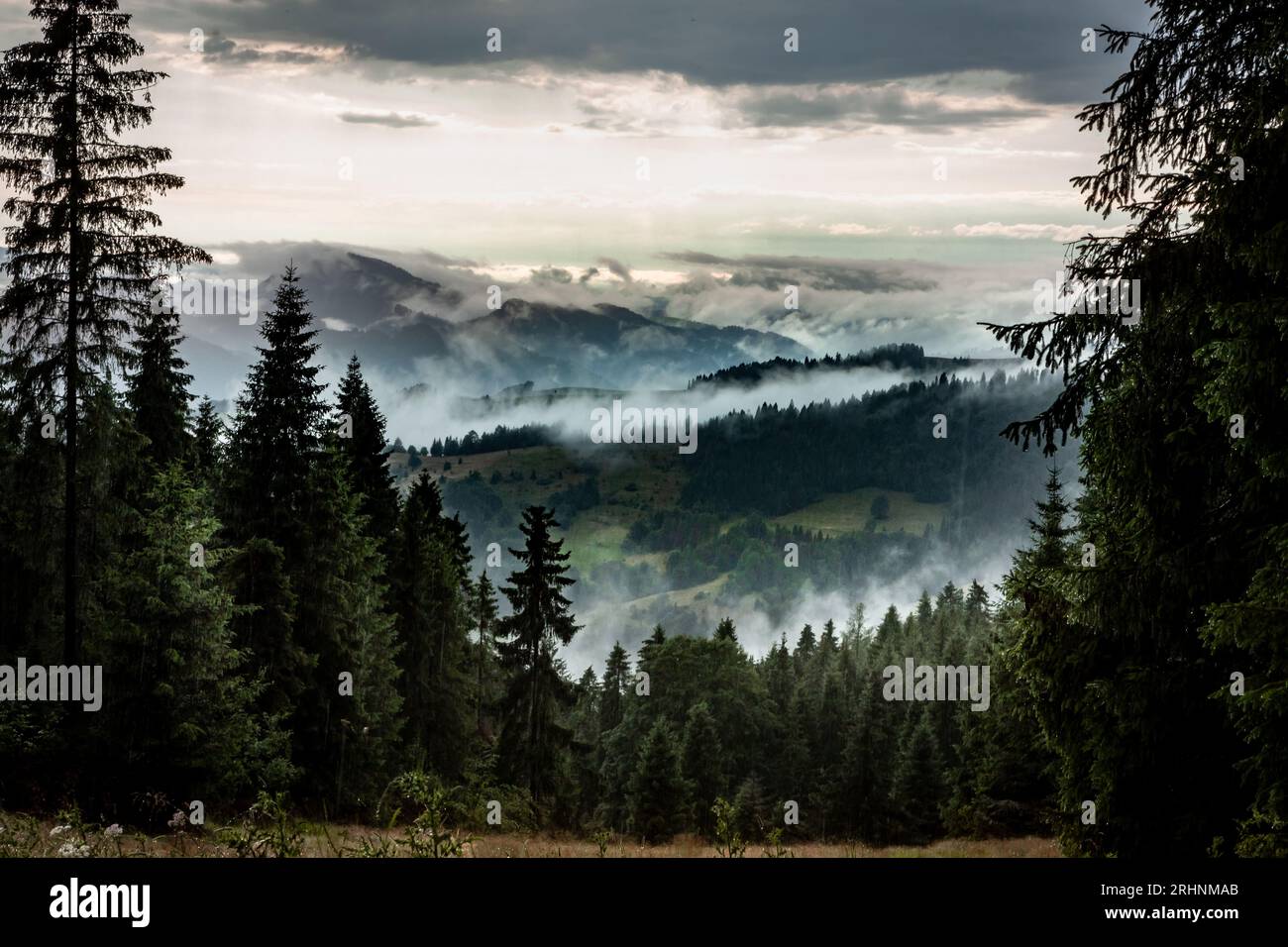 Fog rising from valleys after rain in Beskid Sadecki mountains, Poland ...