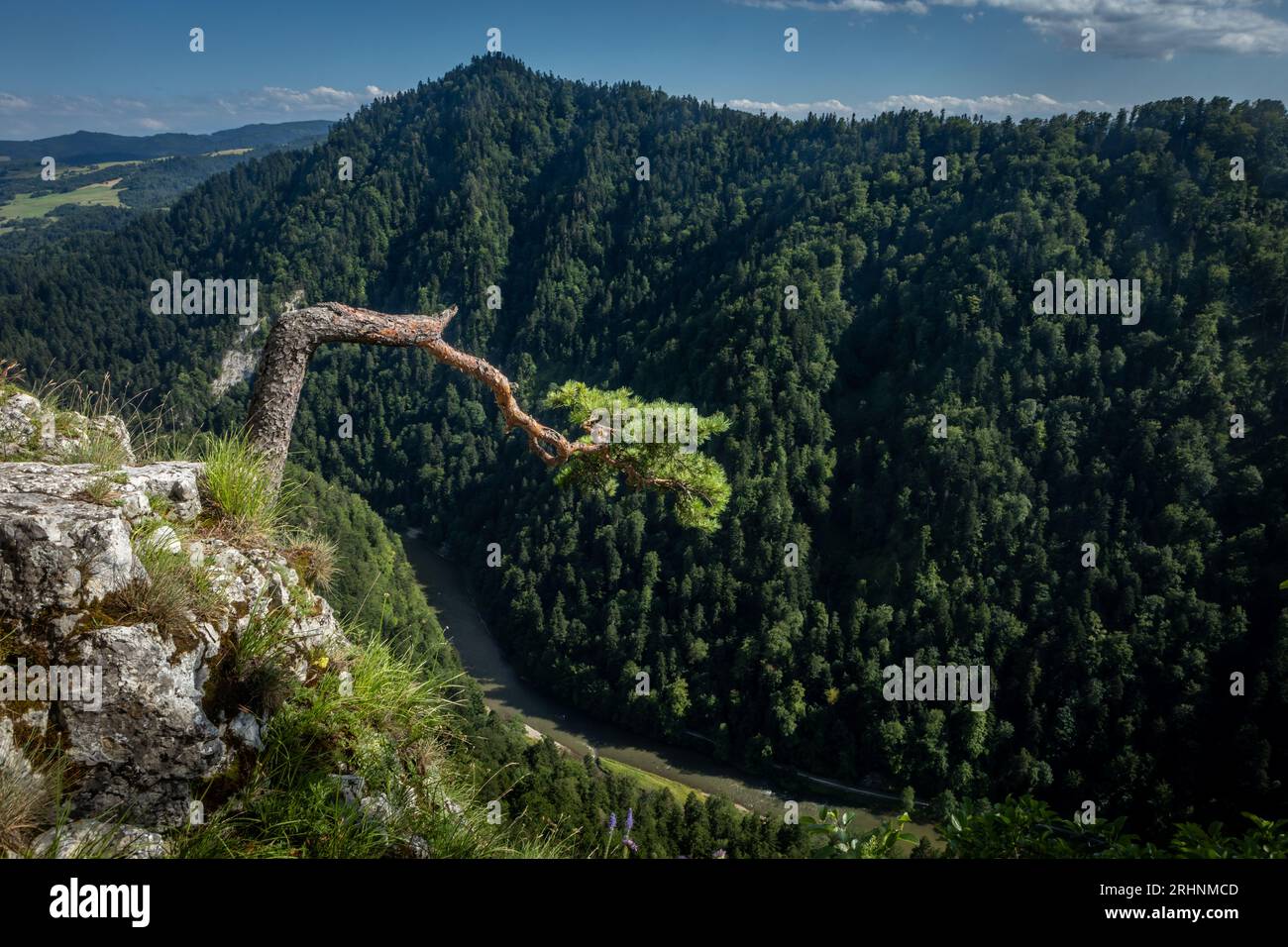 Panoramic mountain landscape from Sokolica in Pieniny, Poland. Bent ...