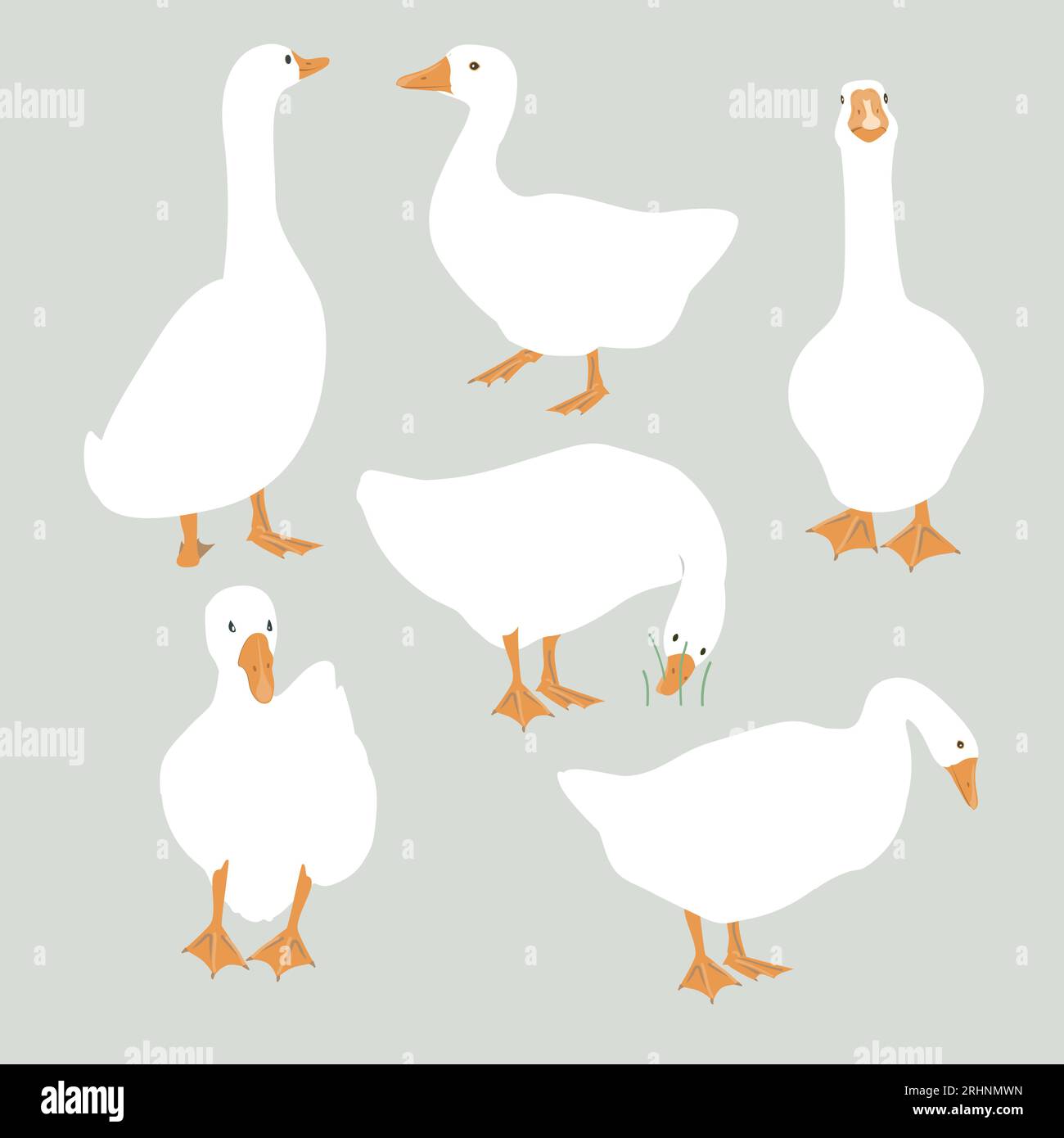 Set of cute white geese. Vector goose illustration Stock Vector Image ...