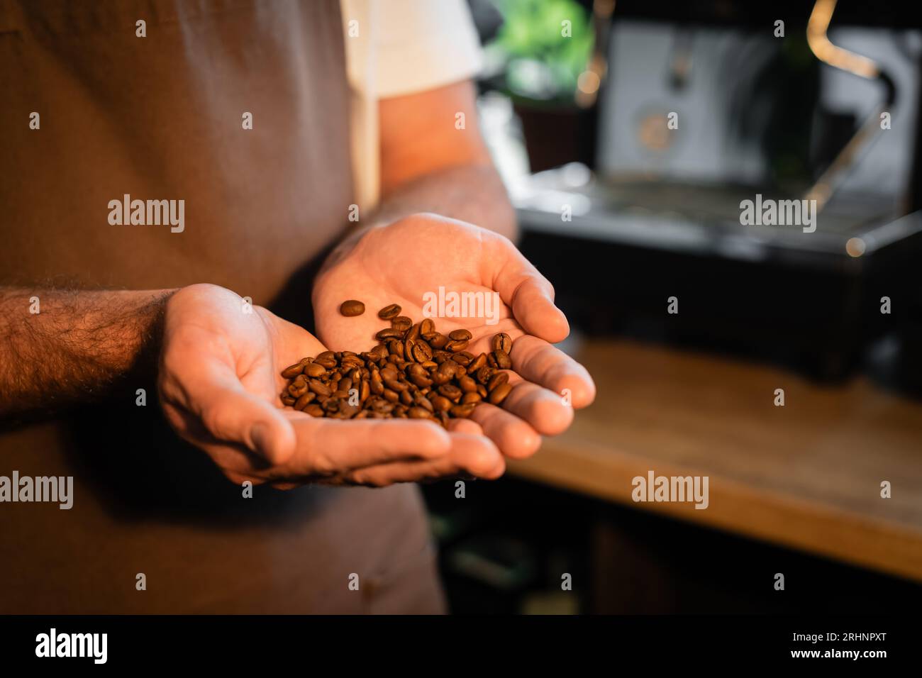 Cropped view of barista in apron holding coffee beans while working in ...