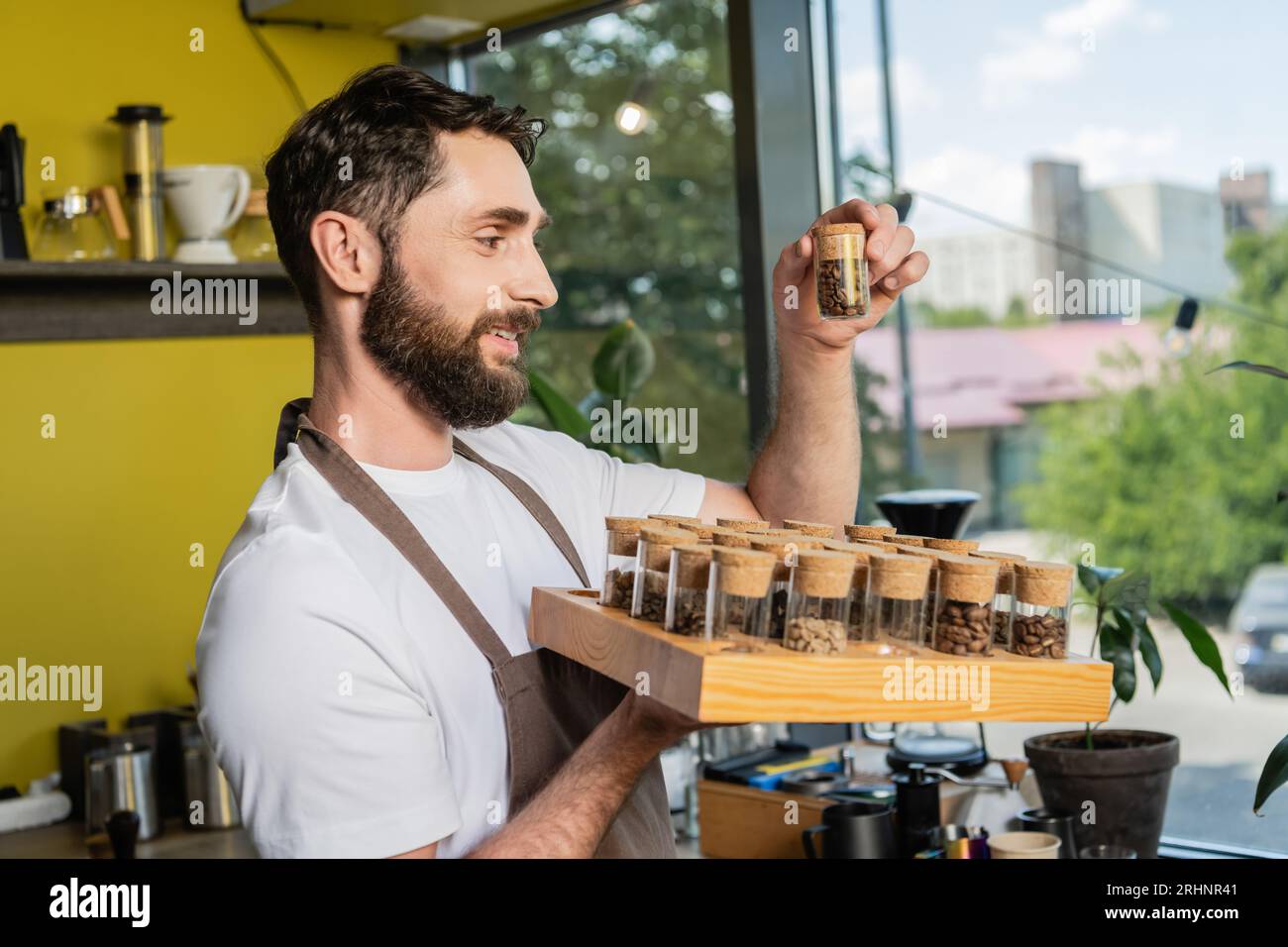 positive bearded barista holding jars with coffee beans while working ...