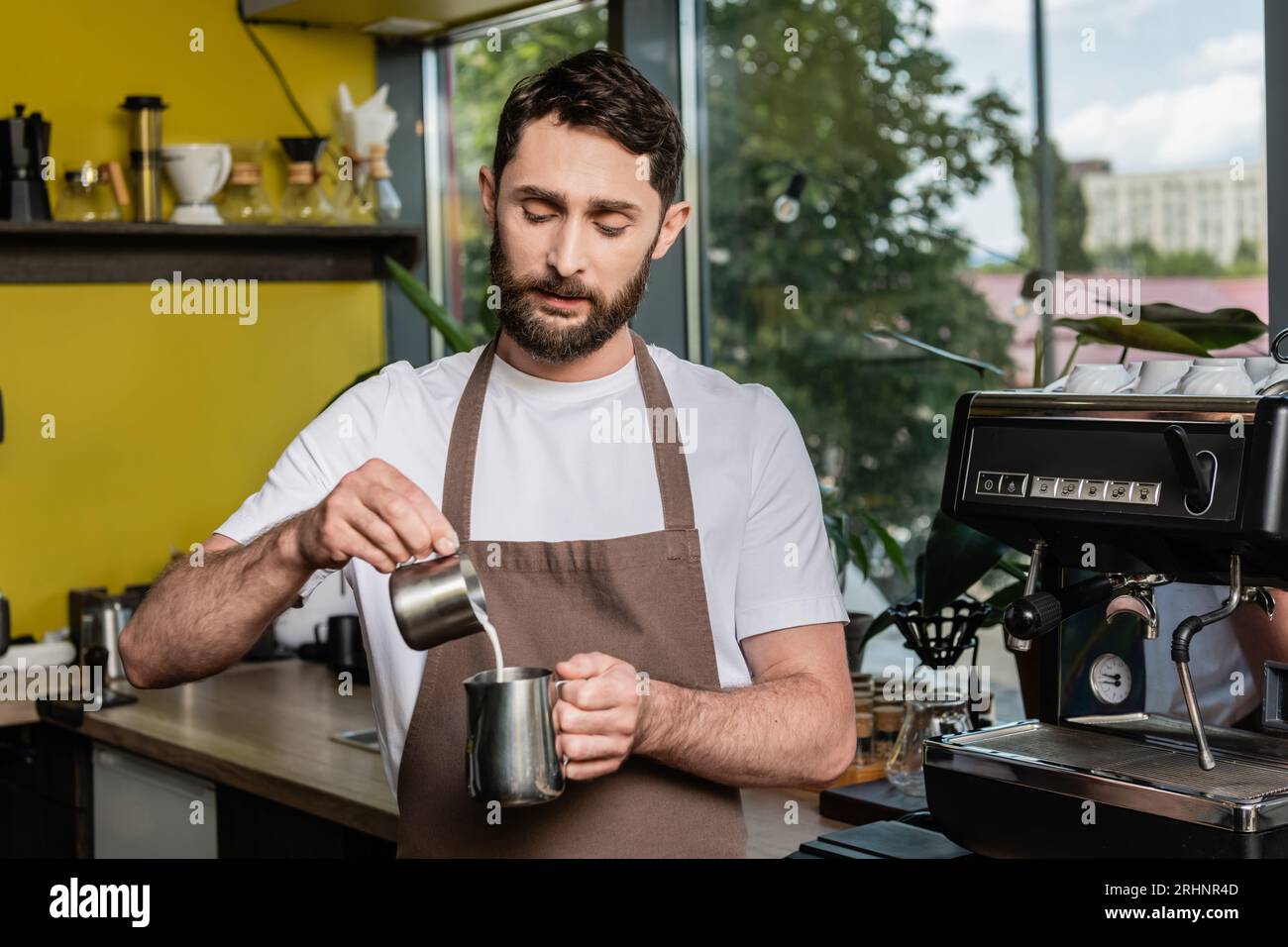 focused bearded barista in apron holding pitchers near coffee machine ...