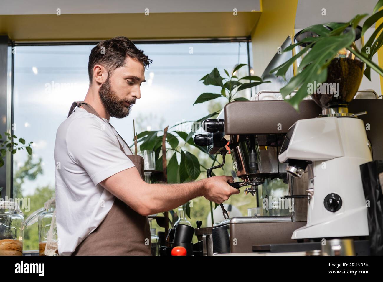 bearded barista in apron holding holder near coffee machine while ...