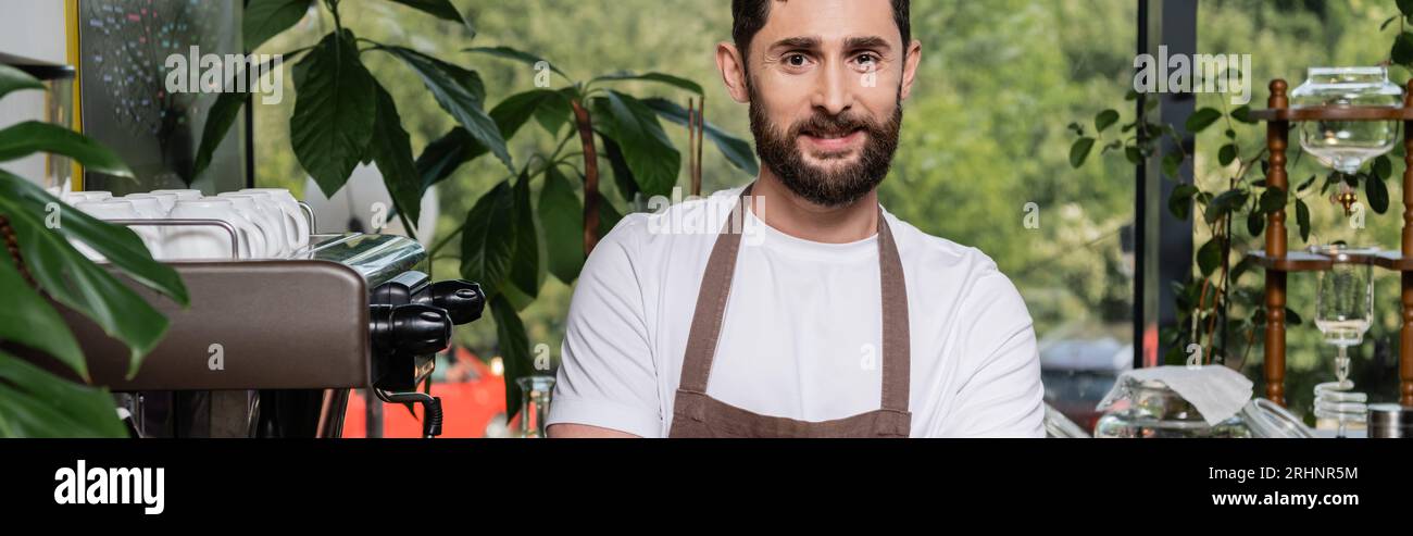 cheerful bearded barista in apron looking at camera, standing and ...