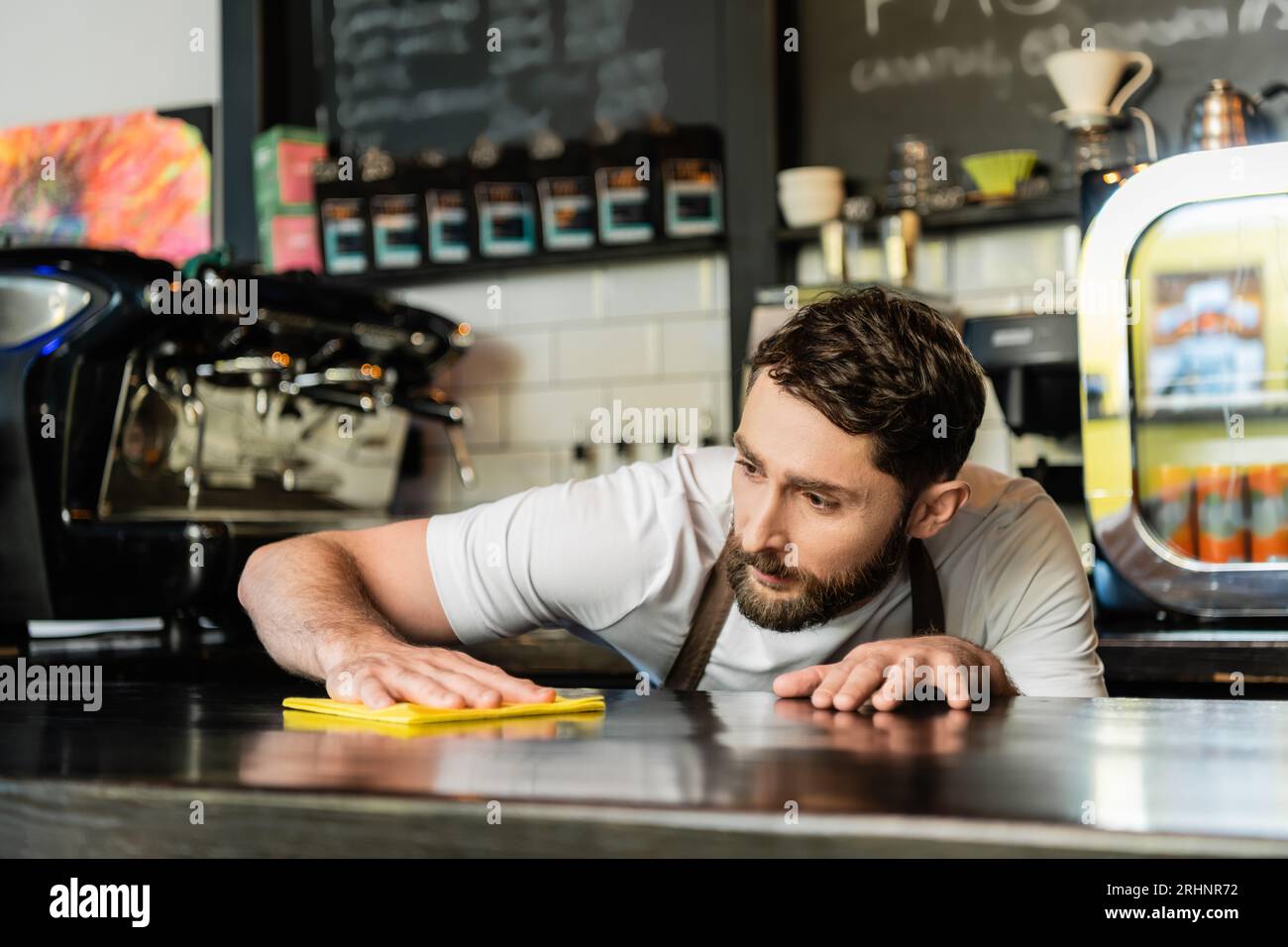 focused bearded barista in apron cleaning bar and holding rag while ...