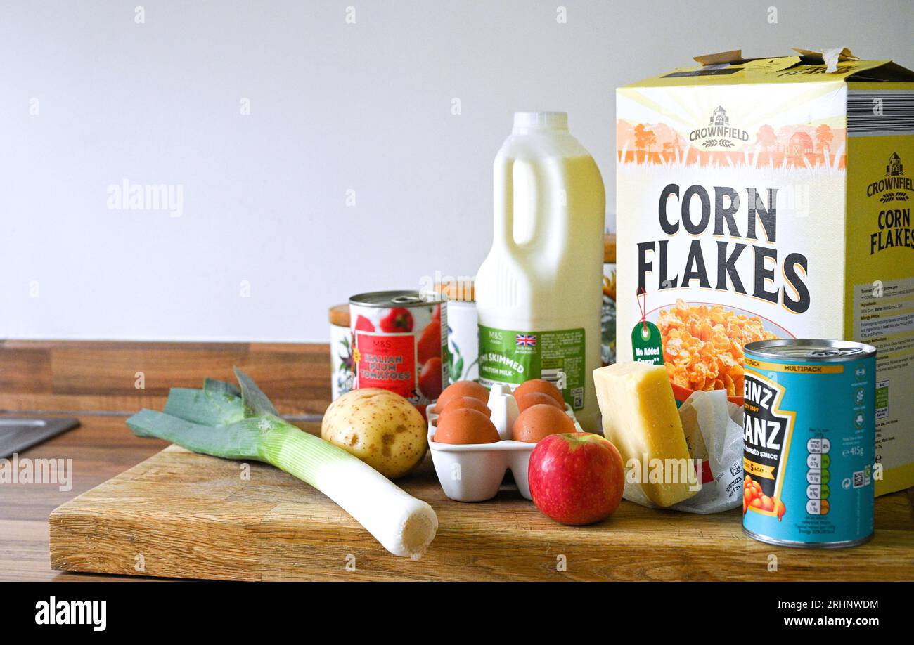 Variety of household food items bought in 2023 during the cost of ...