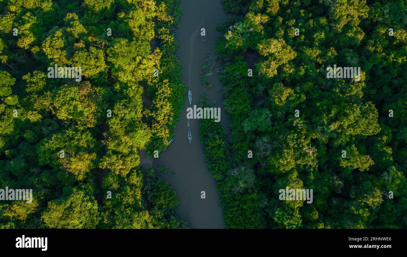 River of the Peruvian Amazon that has floodplain forests on the sides ...