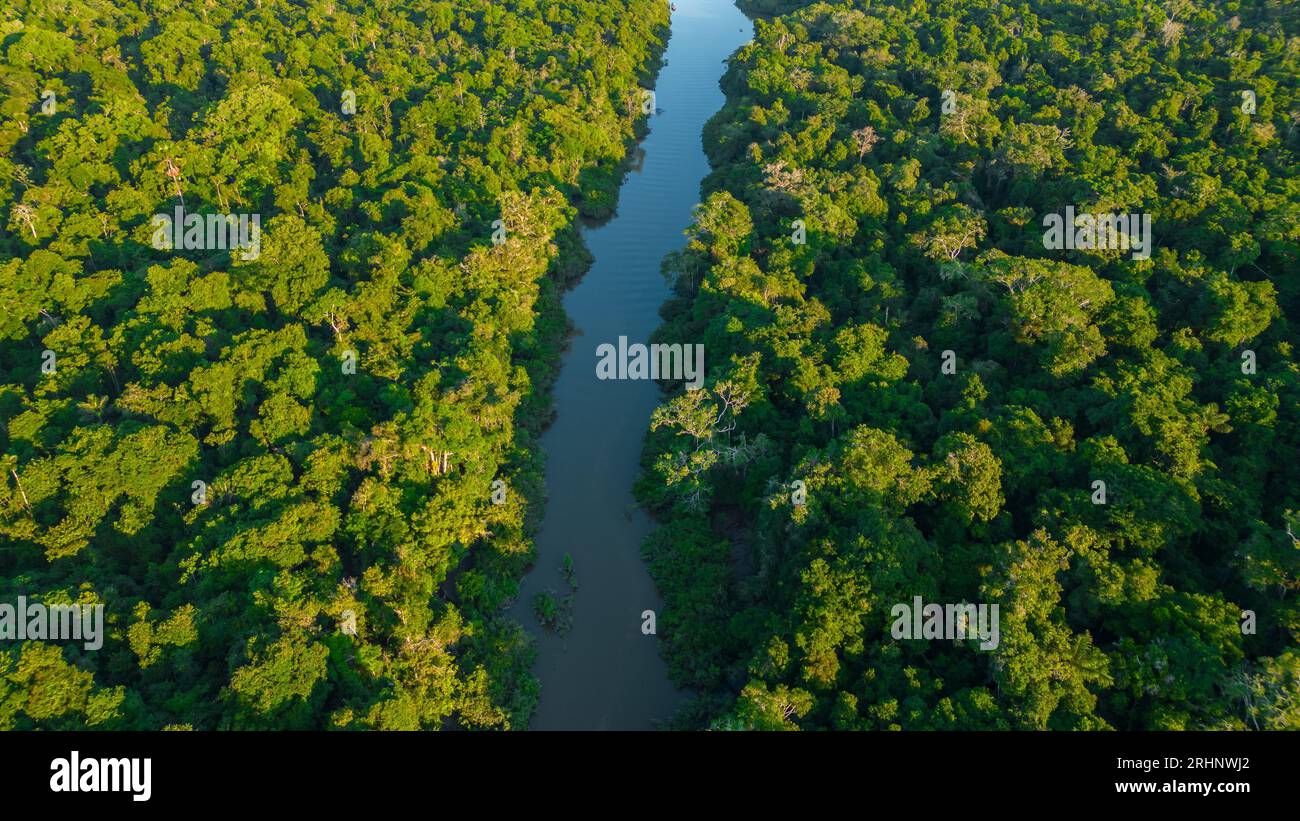 River of the Peruvian Amazon that has floodplain forests on the sides ...