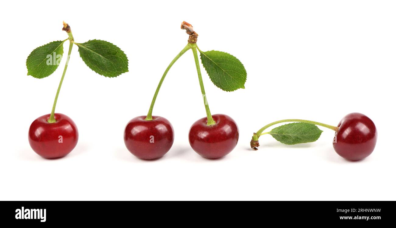 Collection of cherries with green leaf isolated on white background ...