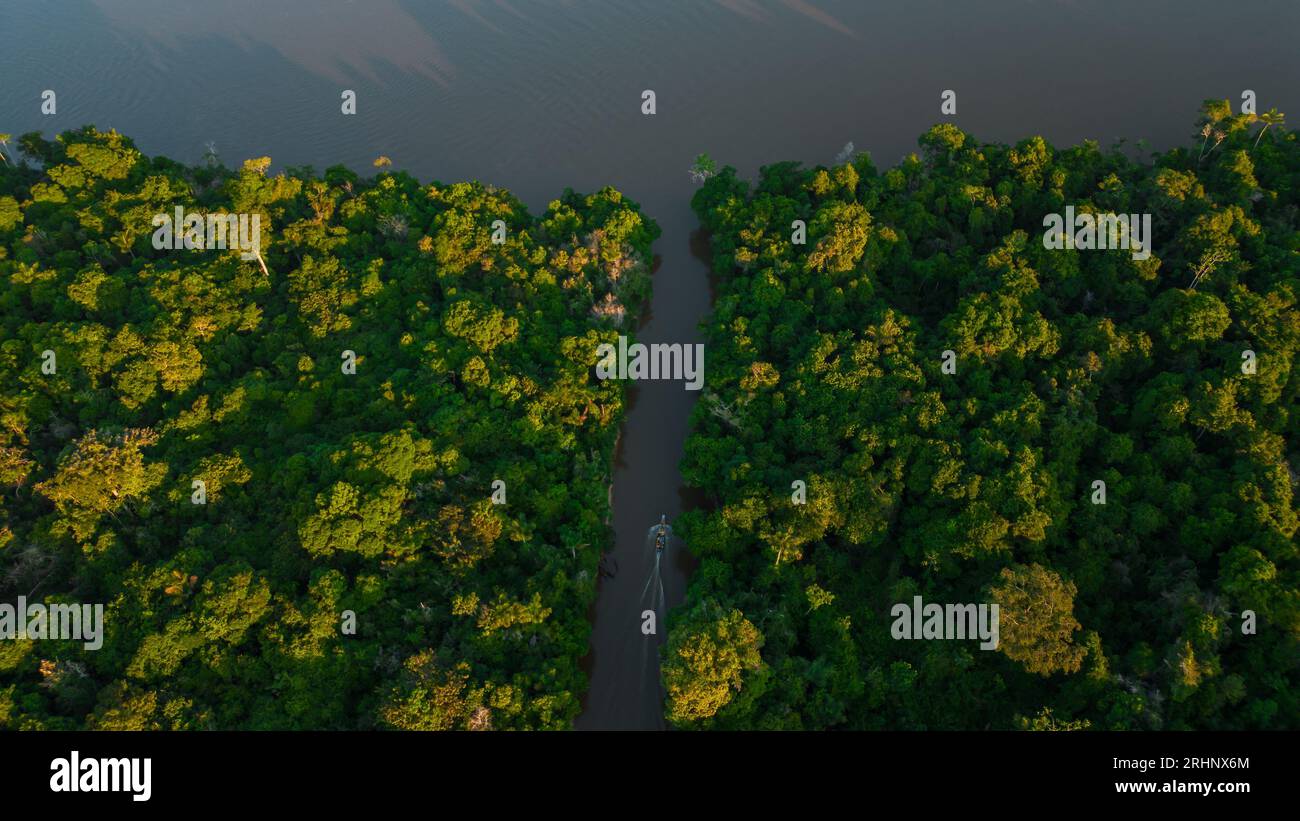 River of the Peruvian Amazon that has floodplain forests on the sides ...