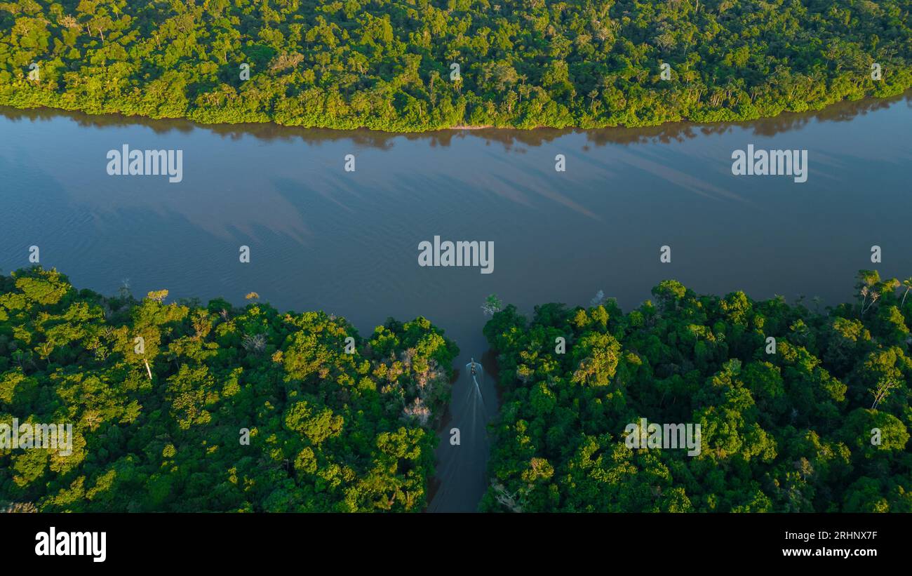 River of the Peruvian Amazon that has floodplain forests on the sides ...