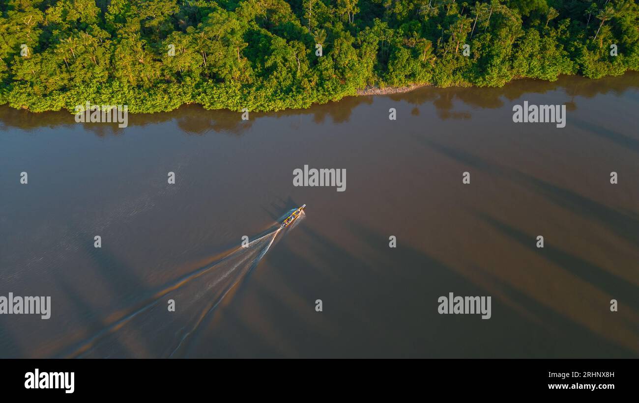 River of the Peruvian Amazon that has floodplain forests on the sides ...