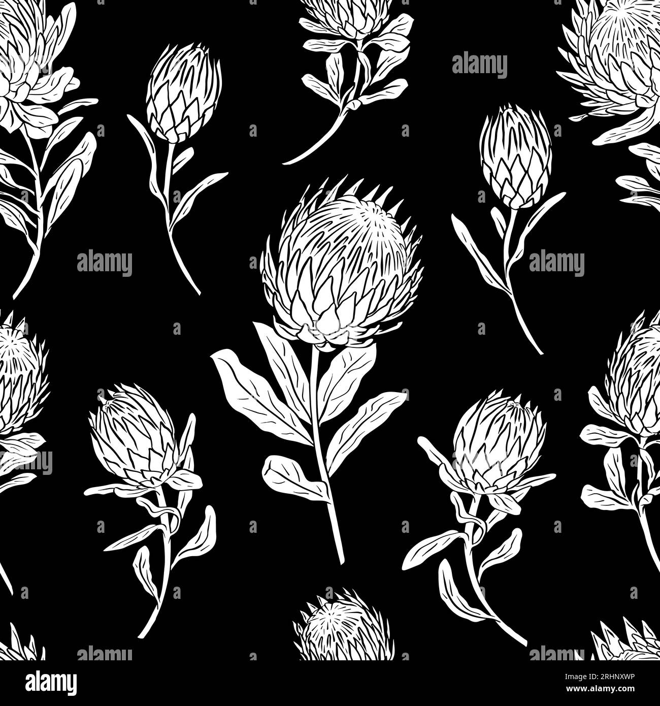 Black and white seamless pattern with line art protea flowers Stock ...