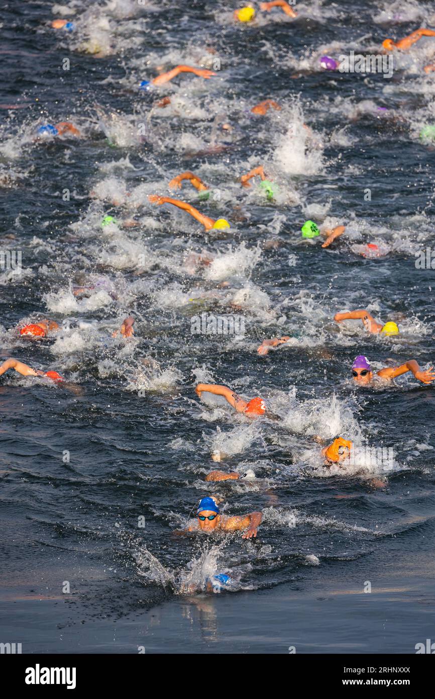 Natation hi-res stock photography and images - Alamy