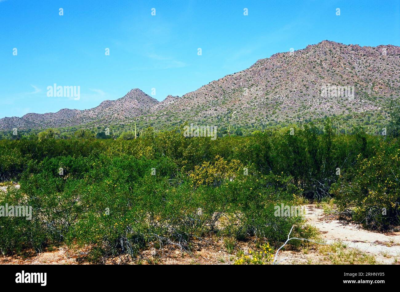 Land For Sale Near San Tan Mountains at Louise Mcmakin blog