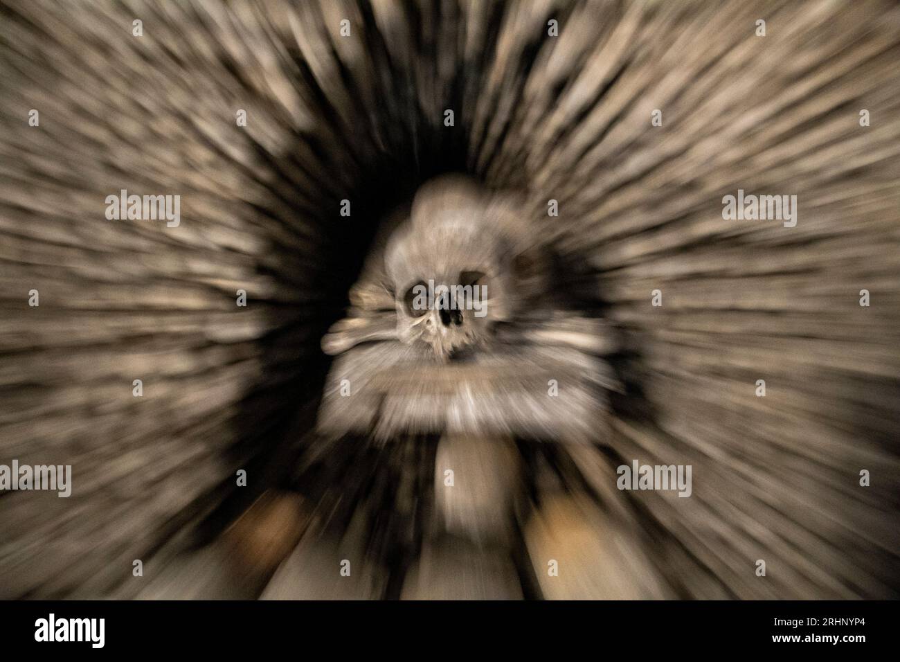 Newly assembled pyramid of human bones in the Roman Catholic Cemetery ...