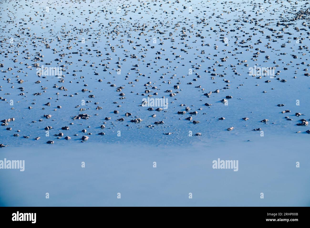 Hydrogen sulfide stagnant salt marsh. Gas turns turbid-blue in water on ...