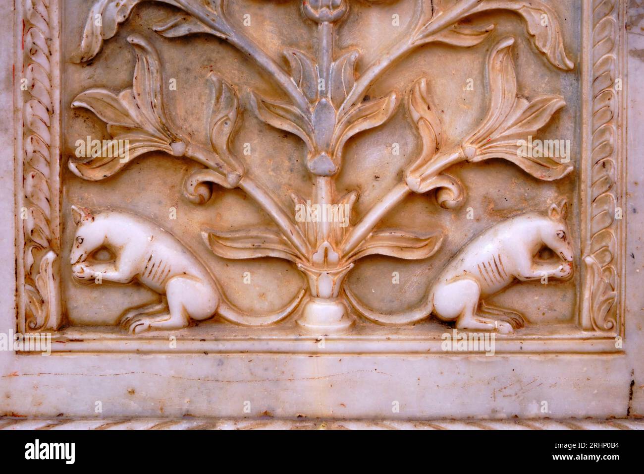 India, Rajasthan, Bikaner region, Deshnoke, Karni Mata Temple also ...