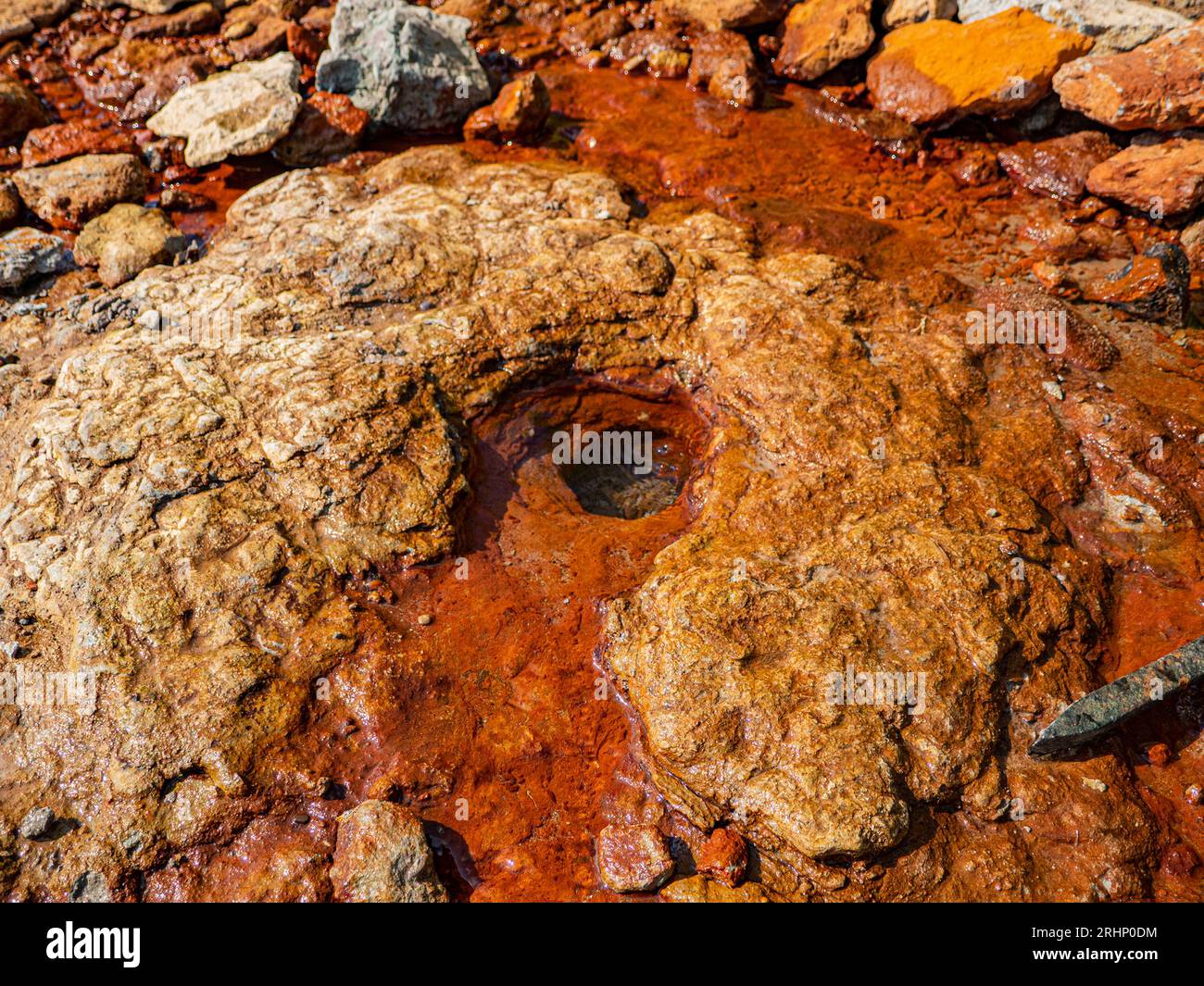 Mineral well from limestone deposits. Colonies of bacteria, cyenallae ...