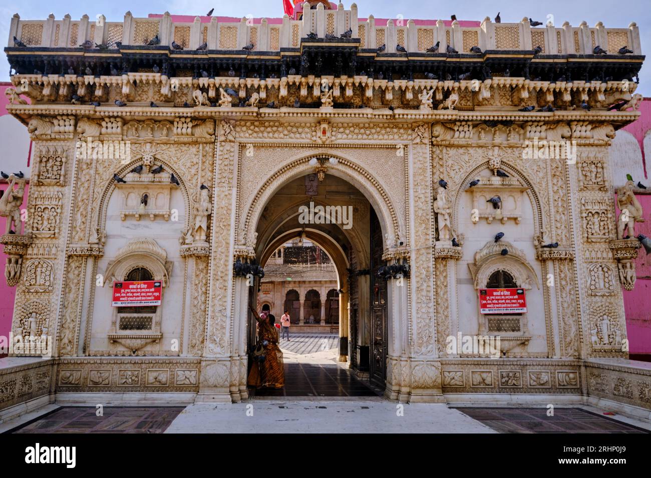 India, Rajasthan, Bikaner region, Deshnoke, Karni Mata Temple also known as the temple of rats ...