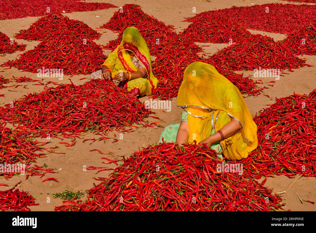 Red chilli india woman hi-res stock photography and images - Alamy