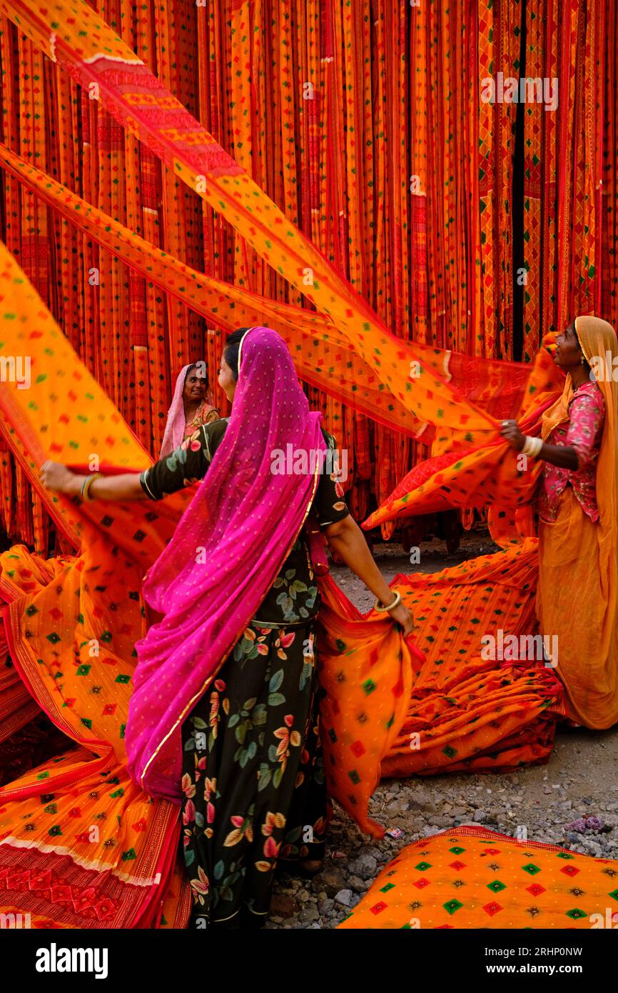 India, Rajasthan, Sari Factory, Textile are dried in the open air ...