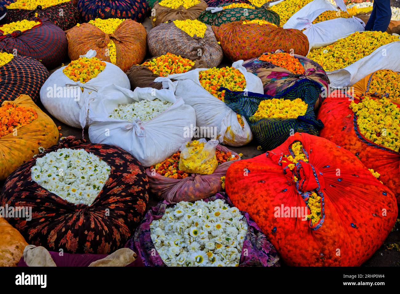 India, Rajasthan, Jaipur, flower market Stock Photo - Alamy