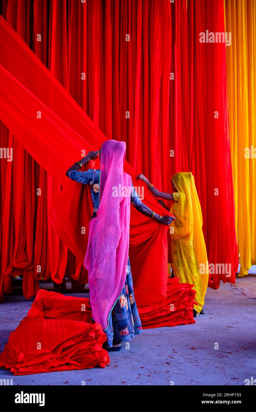 India, Rajasthan, Sari Factory, Textile are dried in the open air ...