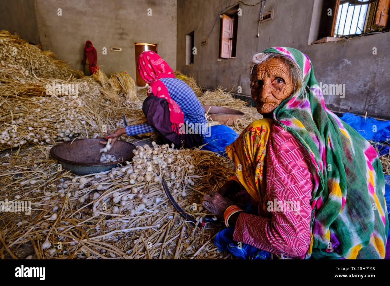 India jodhpur women hi-res stock photography and images - Alamy