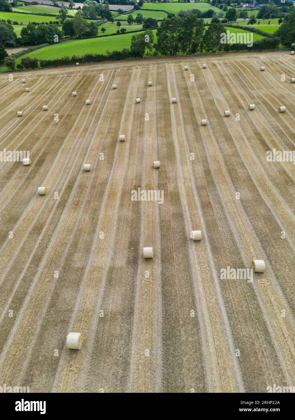 Arable farmland in rural Shropshire, England, UK Stock Photo - Alamy