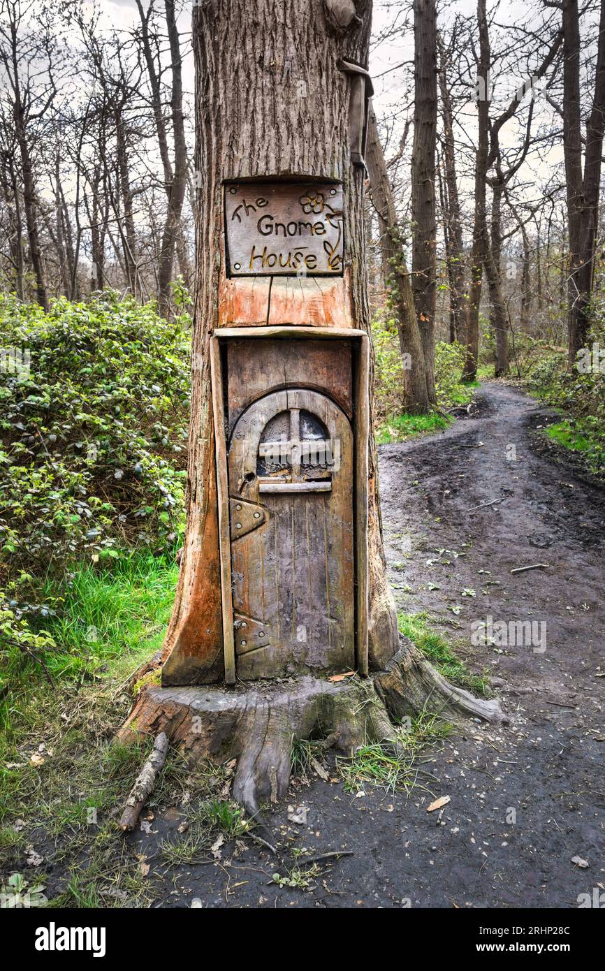 Carved Gnome Tree Houses