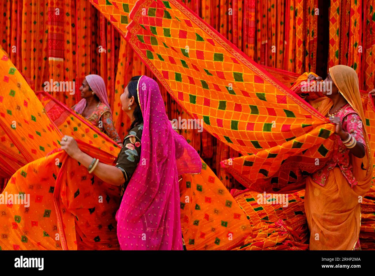 India, Rajasthan, Sari Factory, Textile are dried in the open air ...