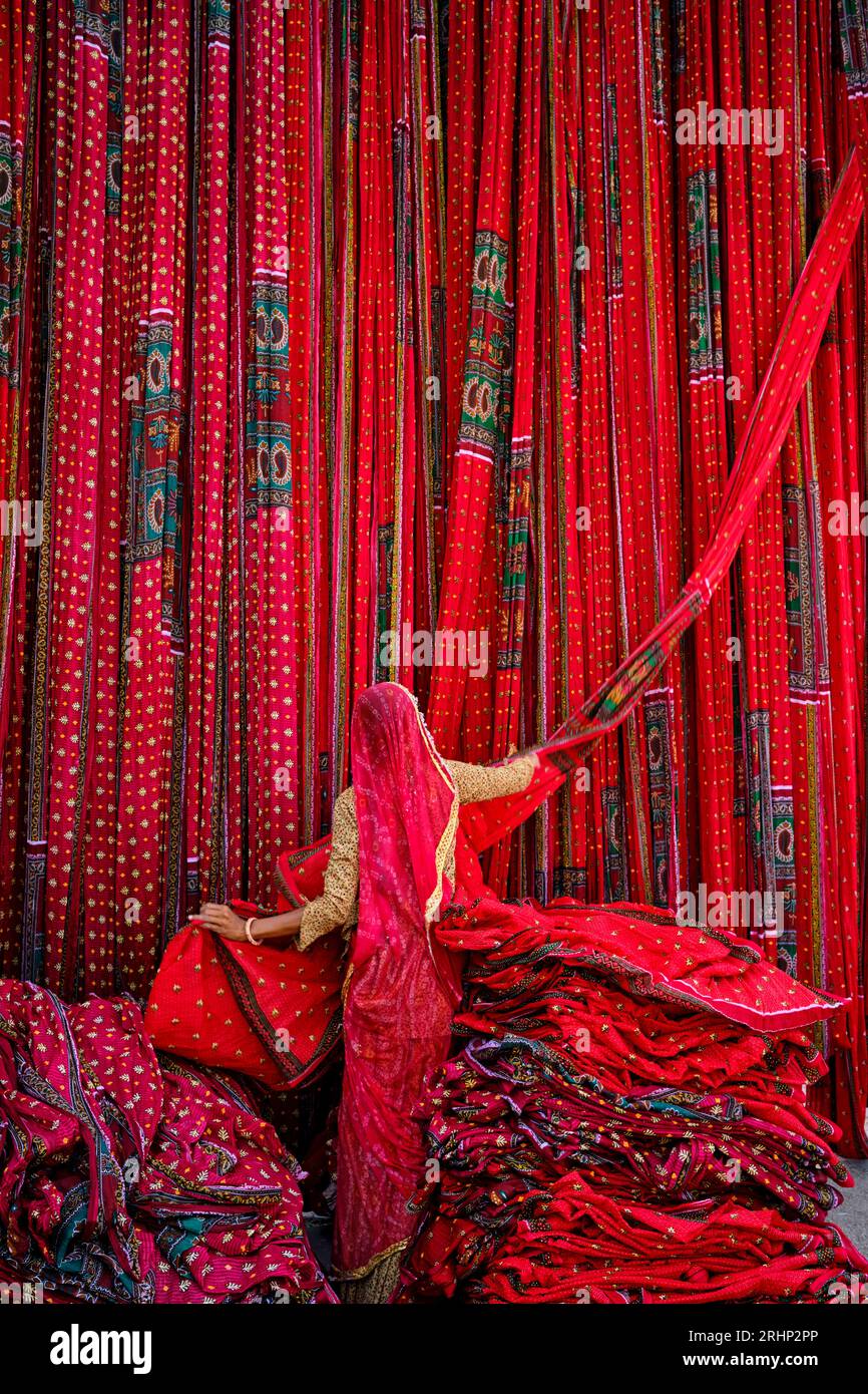 India, Rajasthan, Sari Factory, Textile are dried in the open air ...