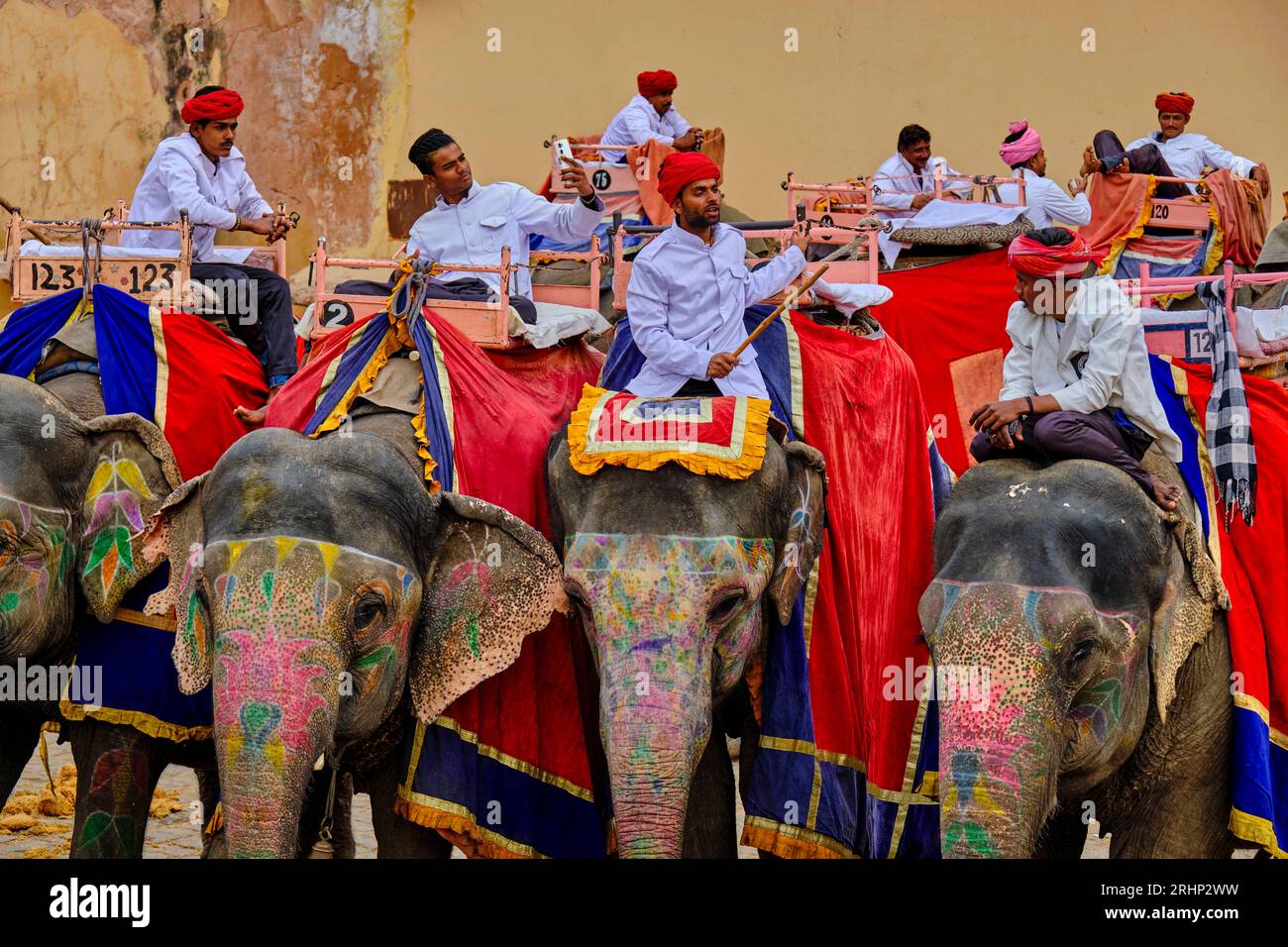 India, Rajasthan, Jaipur the Pink City, Amber Fort, elephants for ...