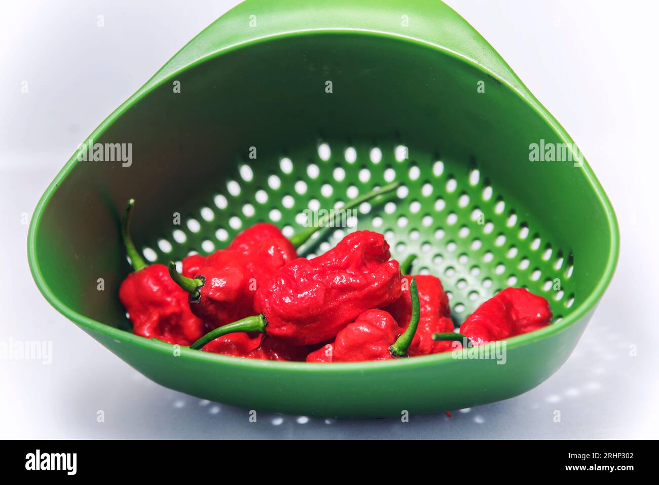a colander full of carolina reaper peppers on a white background Stock ...