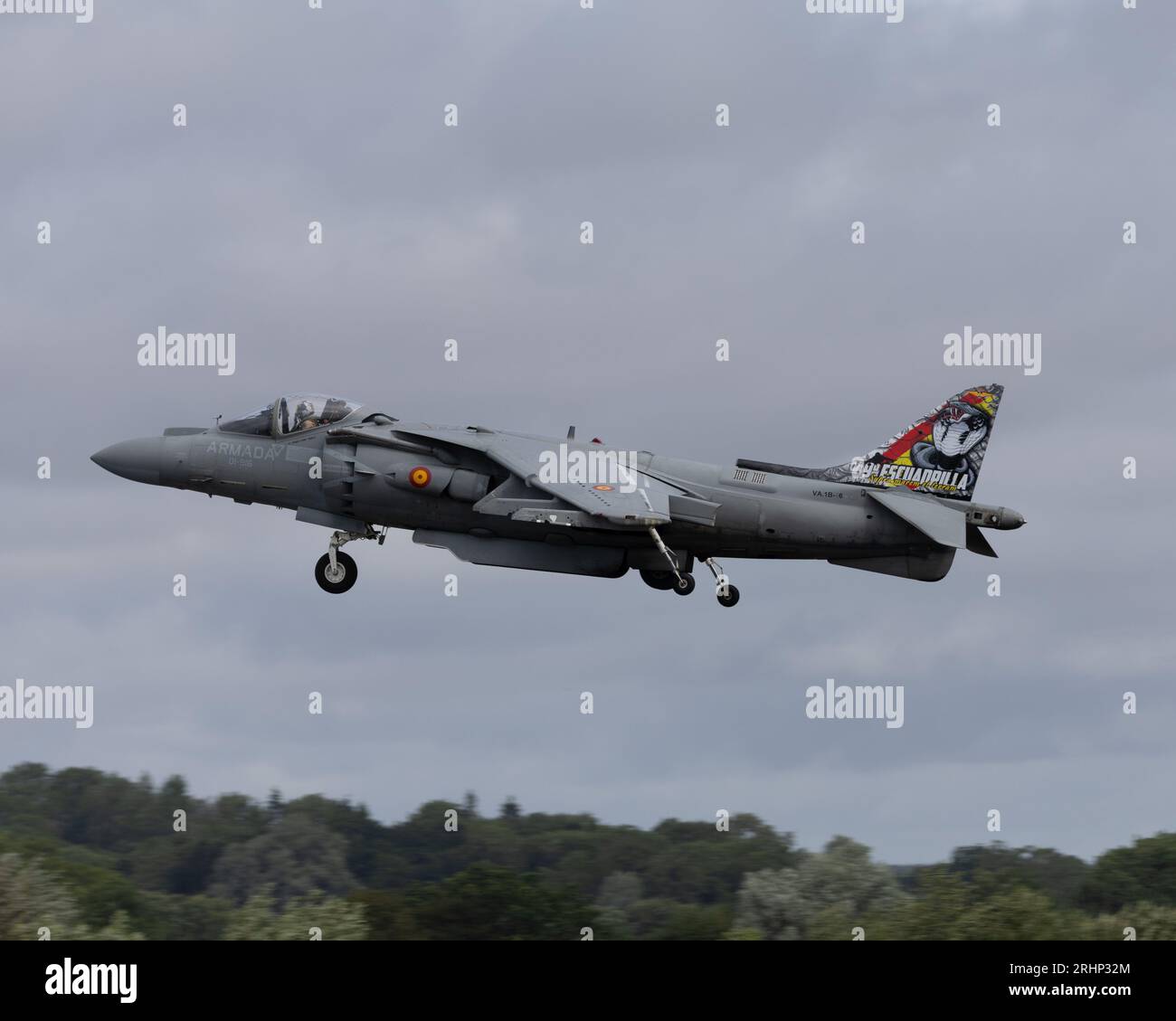 A Spanish McDonnell Douglas AV-8B Harrier II jump jet displaying at the ...