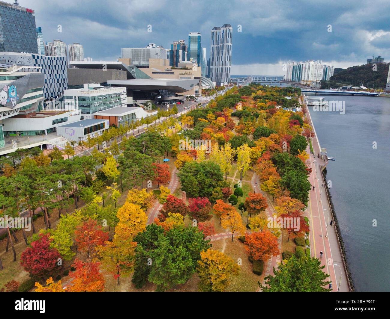 Aerial View of Autumn Naru Park, Centum City, Busan, South korea, Asia ...