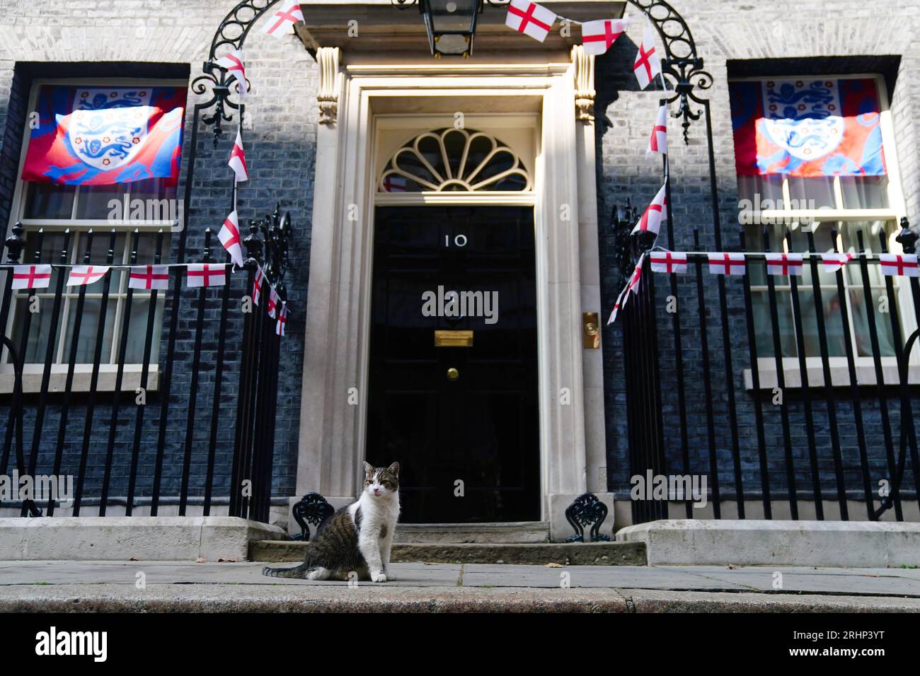 Larry the cat outside 10 Downing Street, London, adorned in England ...